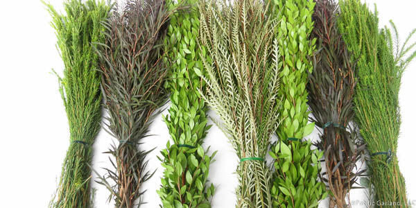 Fresh Premium Garland | Wedding or Event | Designed by Pacific Garland