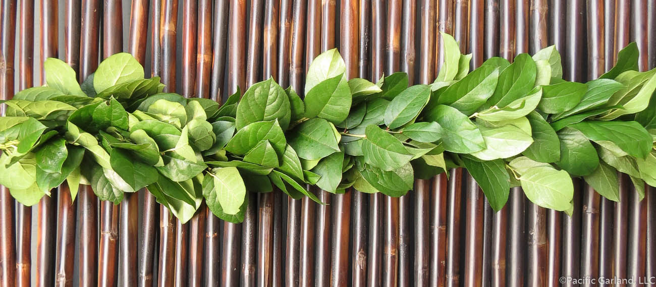 Fresh Premium Garland | Wedding or Event | Designed by Pacific Garland