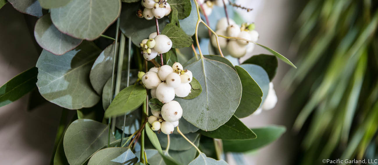 Fresh Salal & Seeded Eucalyptus Premium Garland By Pacific Garland ...