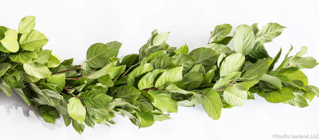 Designers Choice Fresh Premium Garland by Pacific Garland - Pacific ...