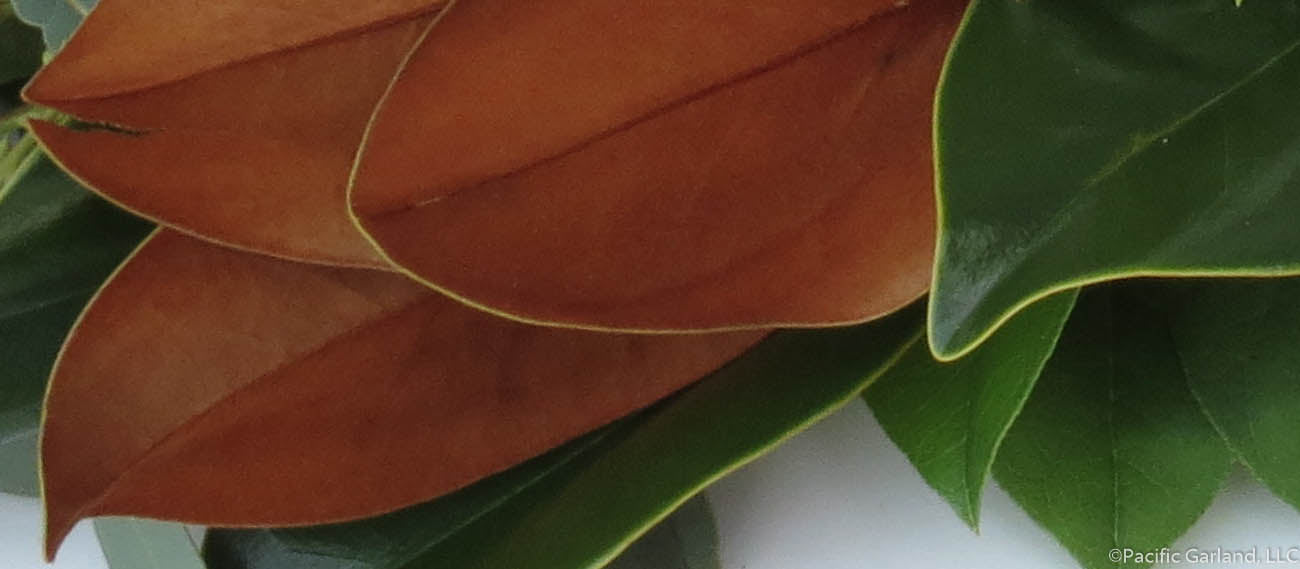 Fresh Premium Garland- Single Item for Weddings & Events by Pacific ...