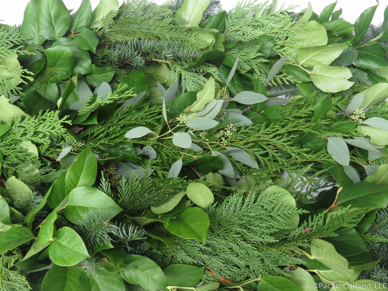Holiday Garland with Salal, Evergreens & Eucalyptus by Pacific Garland ...