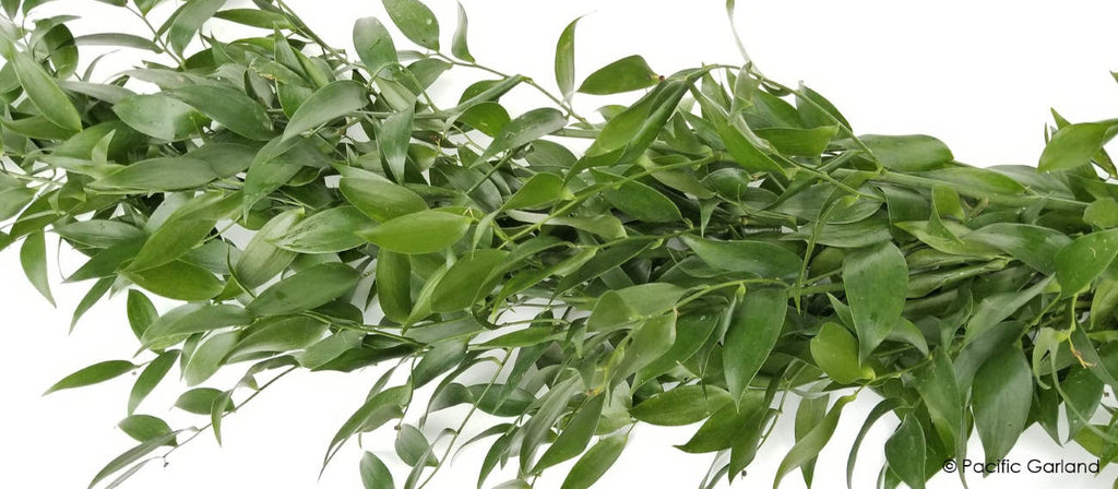 Premium Italian Ruscus Garland By Pacific Garland - Pacific Garland, LLC