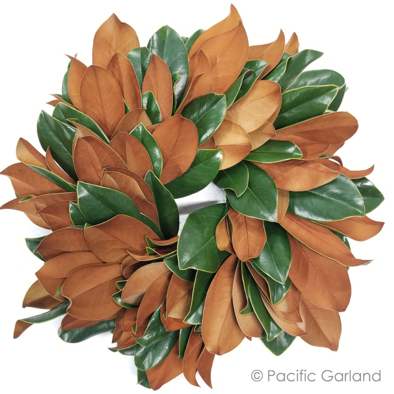 Fresh Premium Magnolia and Grevillea EverRing Wreath by Pacific Garland ...