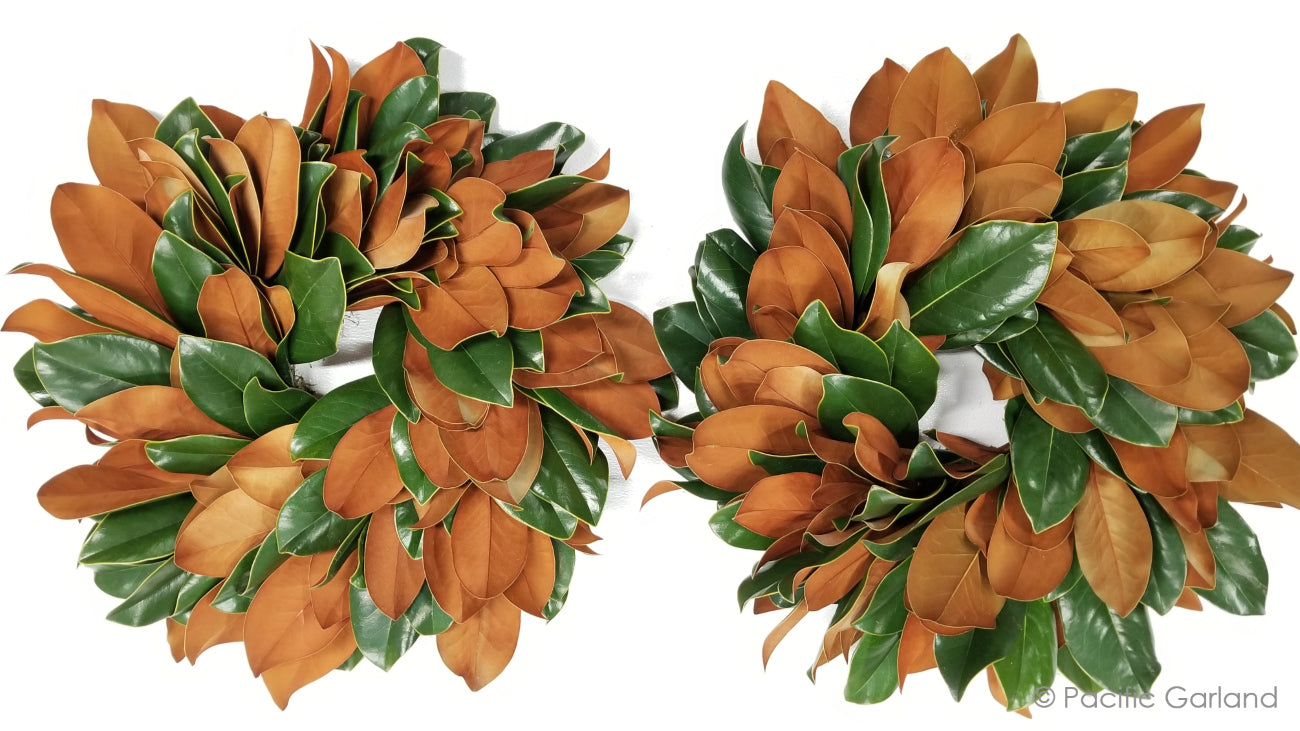 Fresh Premium Magnolia and Grevillea EverRing Wreath by Pacific Garland ...